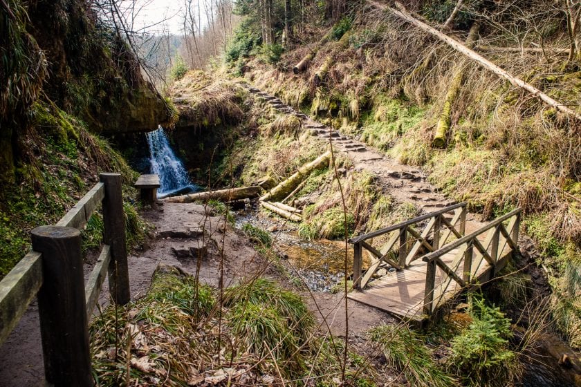 Maspie Den: An easy walk in the Lomond Hills from Falkland