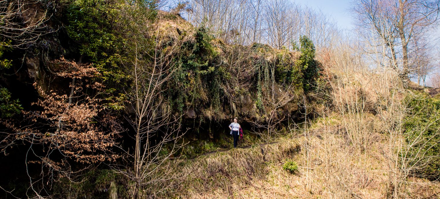Maspie Den: An easy walk in the Lomond Hills from Falkland